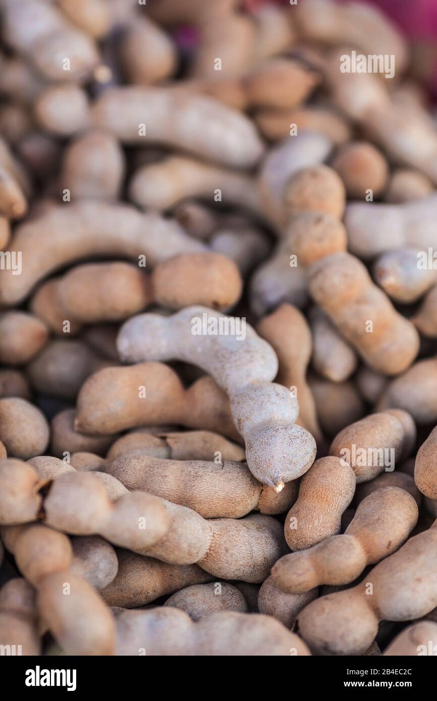 Monkey market hi-res stock photography and images - Alamy