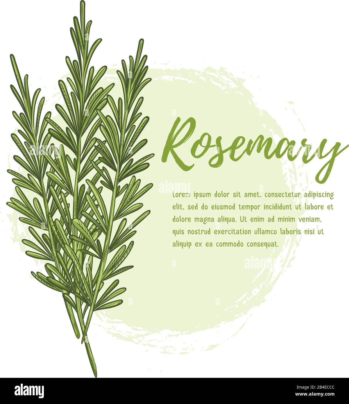 Delicious herbs Stock Vector Images - Alamy