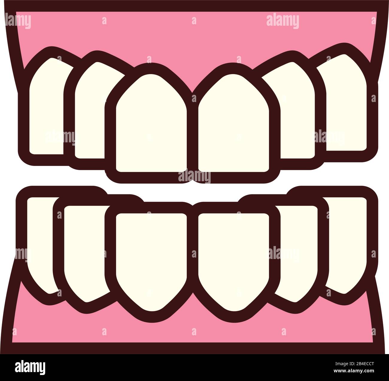 teeth body part flat style Stock Vector Image & Art - Alamy