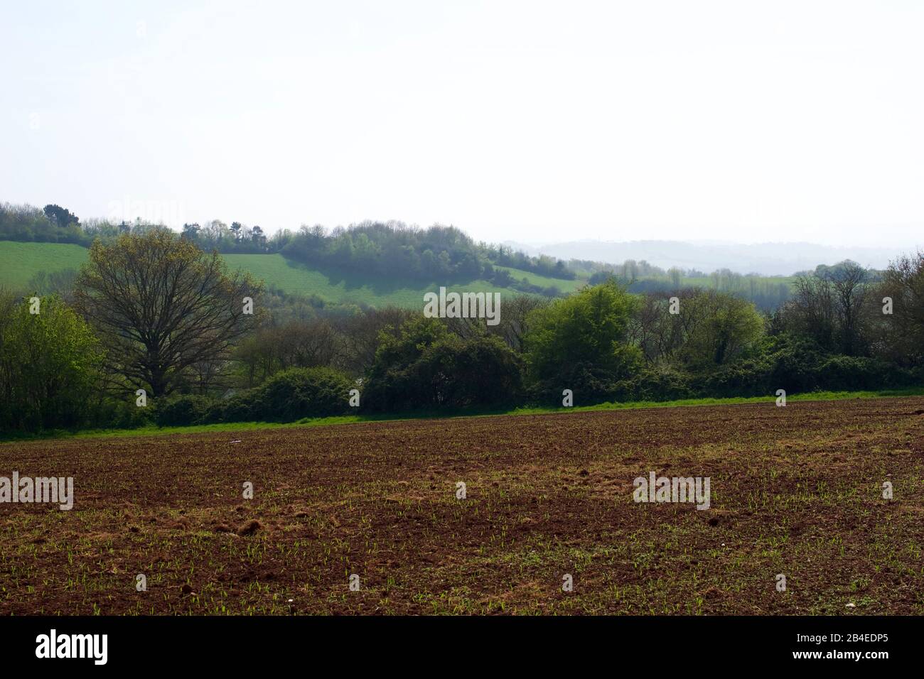 Ploughed Field of Fertile Red Devon Soil on a Spring Day. Ludwell ...