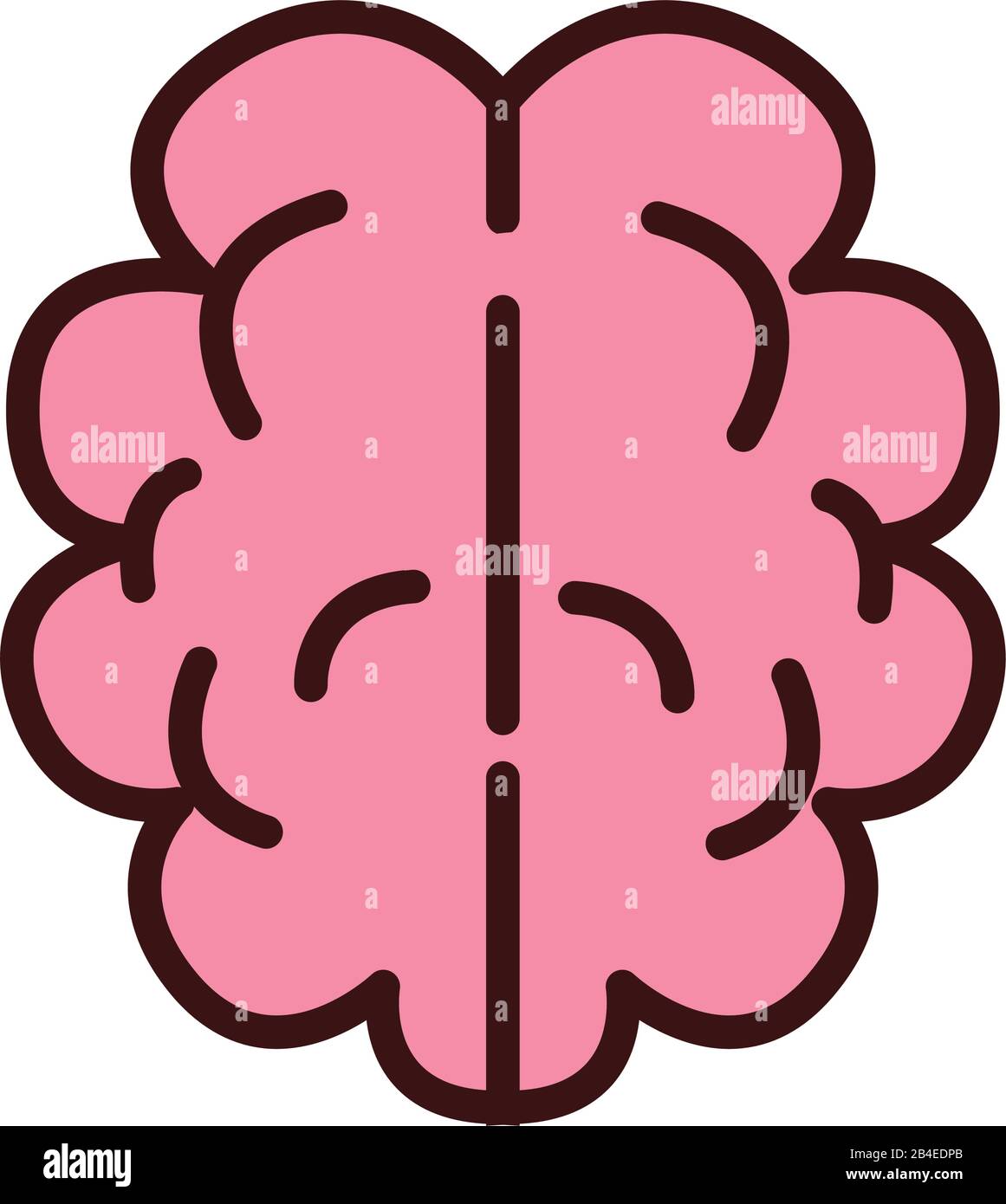 brain human organ line and fill style Stock Vector Image & Art - Alamy
