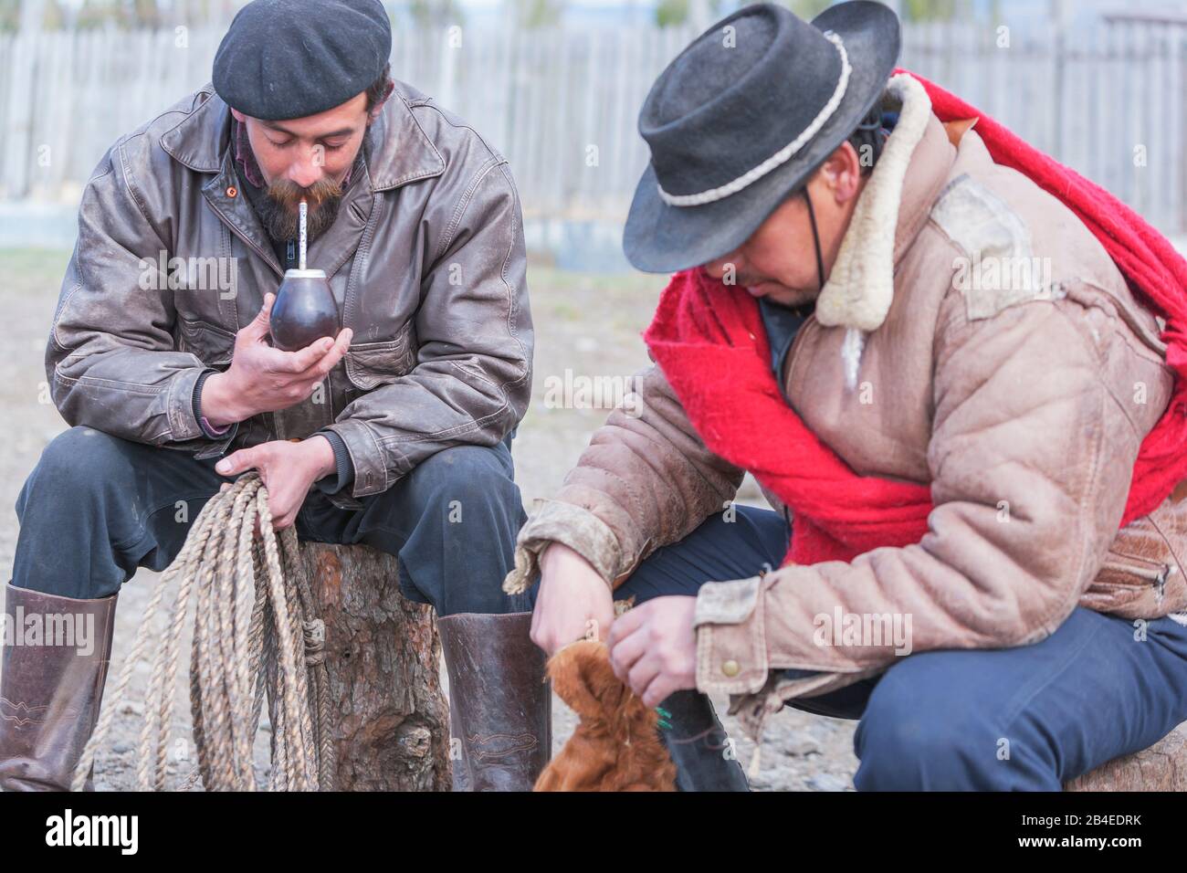 Mate tea hi-res stock photography and images - Alamy