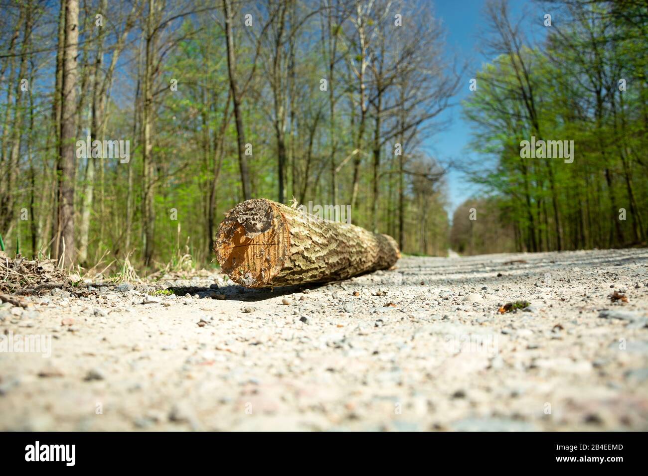 Log road hi-res stock photography and images - Alamy
