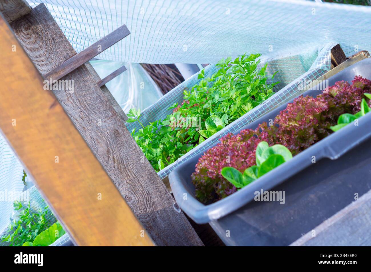 Self cultivation hi-res stock photography and images - Alamy