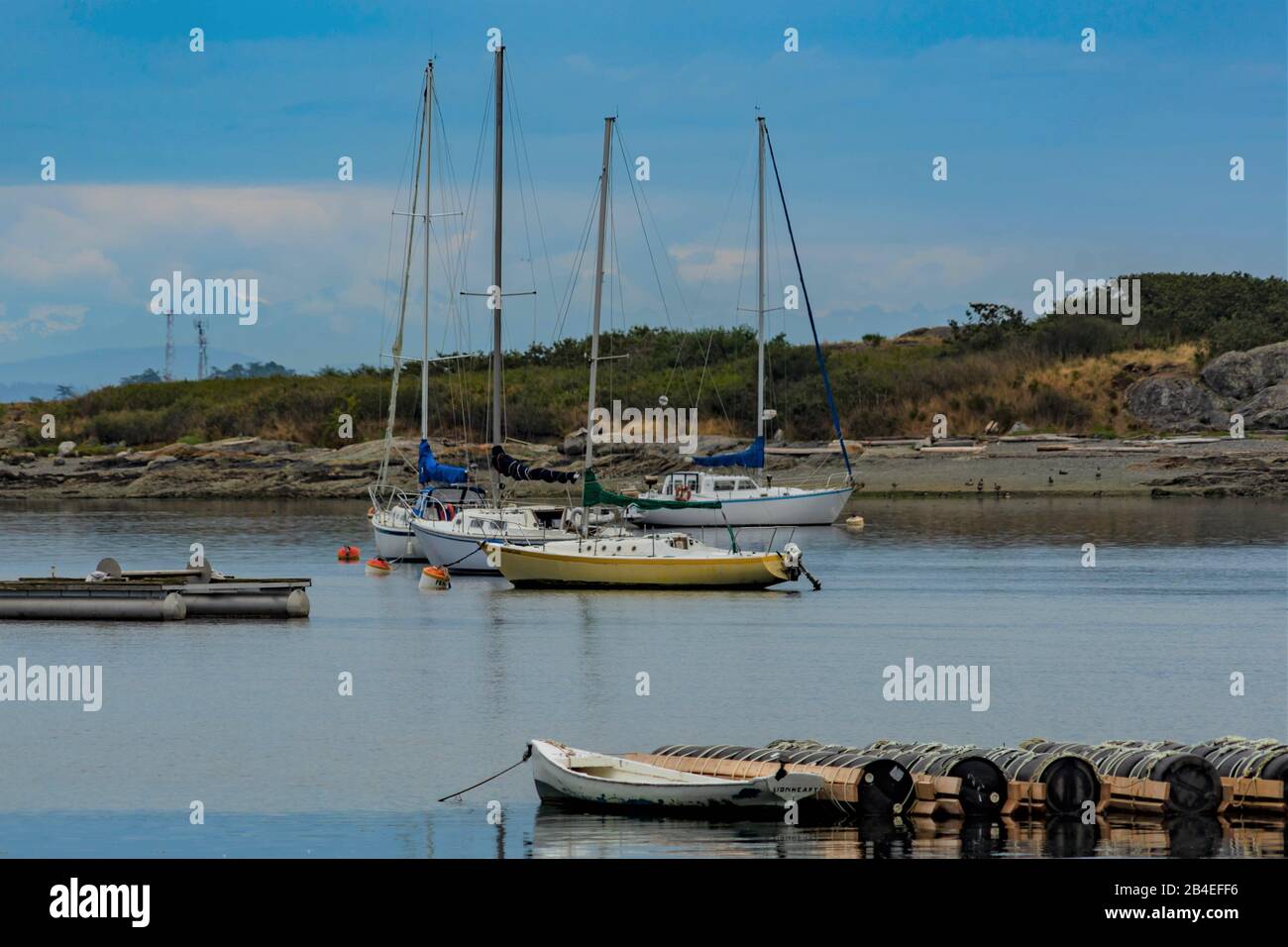Small island birds boats hi-res stock photography and images - Alamy