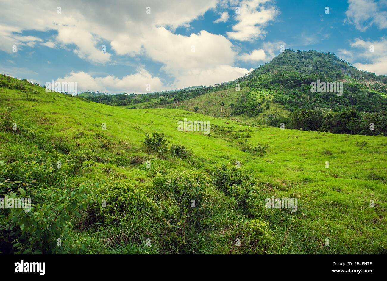 Tropical jungle mountain in Dominican Republic, Seychelles, Caribbean ...