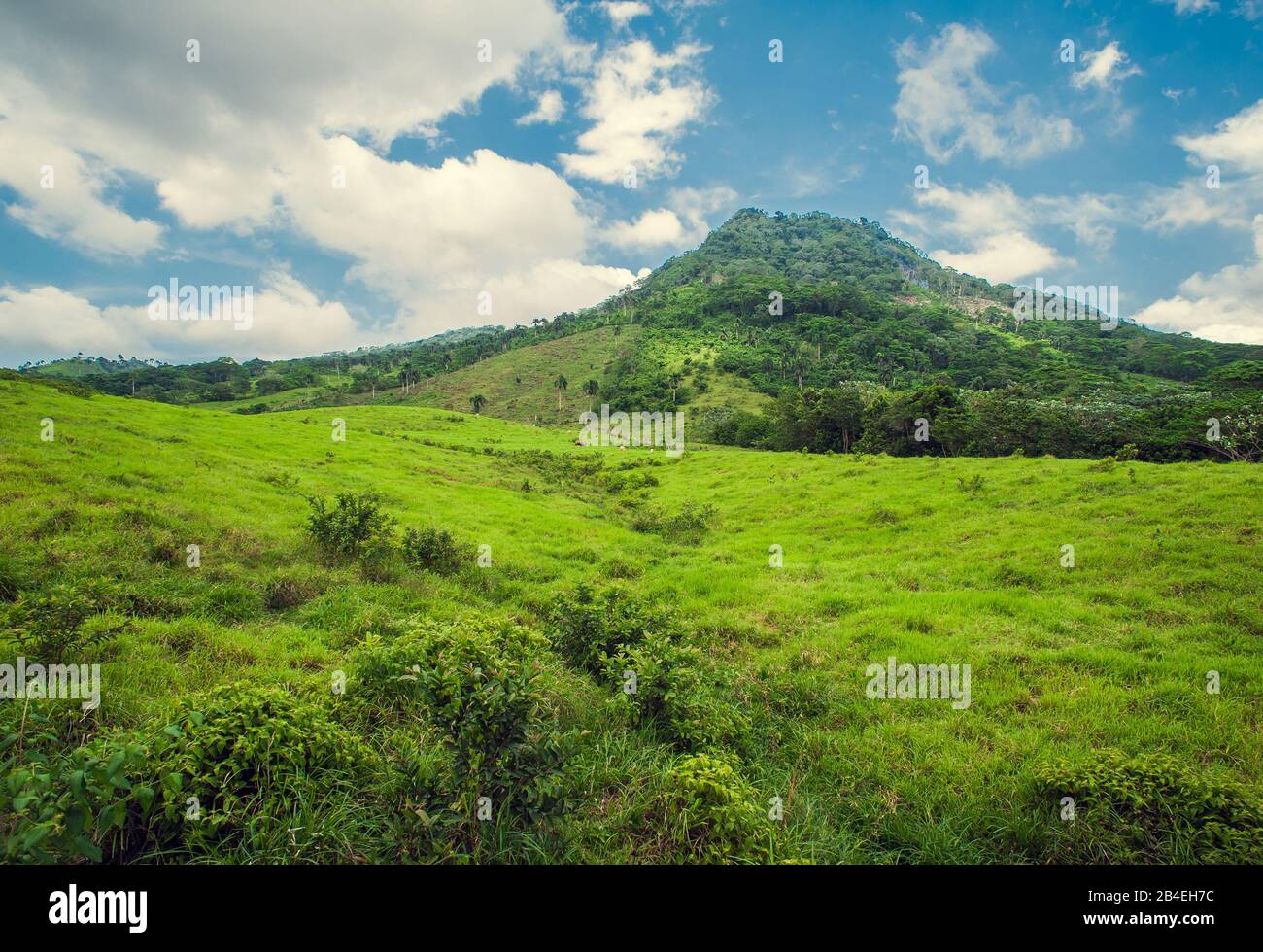 Tropical jungle mountain in Dominican Republic, Seychelles, Caribbean ...