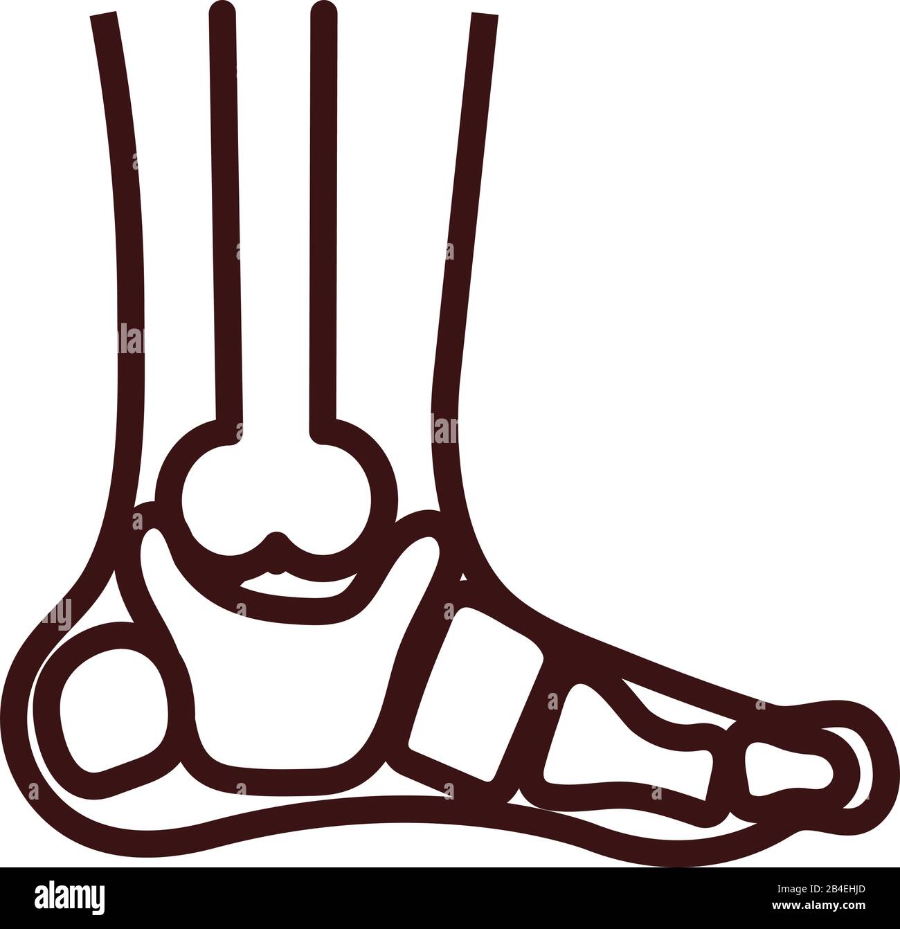 ankle bone body human part line style Stock Vector Image & Art - Alamy
