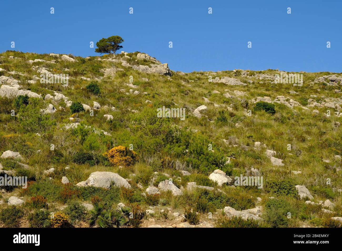 Llevant peninsula natural park hi-res stock photography and images - Alamy