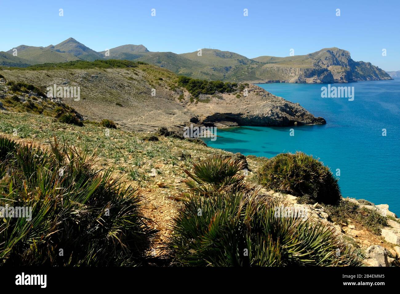 The rocky coast between Cala Estreta and Cala Torta on the Llevant ...