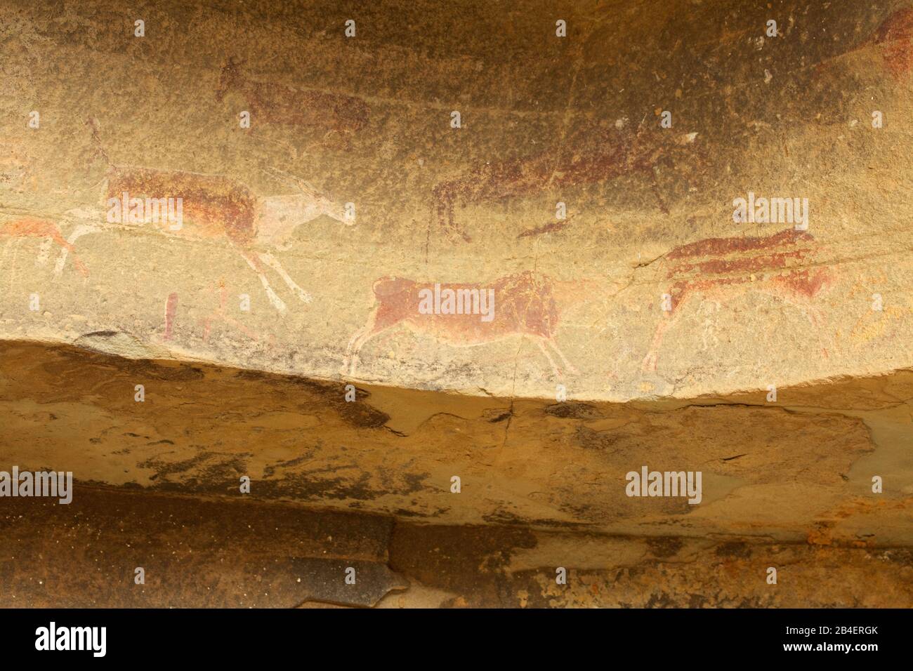 Wildlife drawings of the San Bushmen on sandstone rocks near the Royal ...