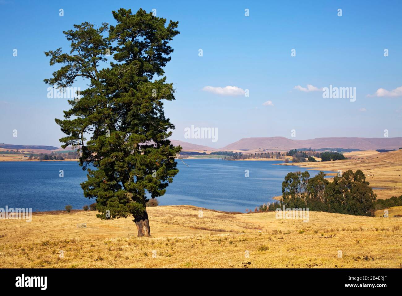 Dams up the mooi river hi-res stock photography and images - Alamy