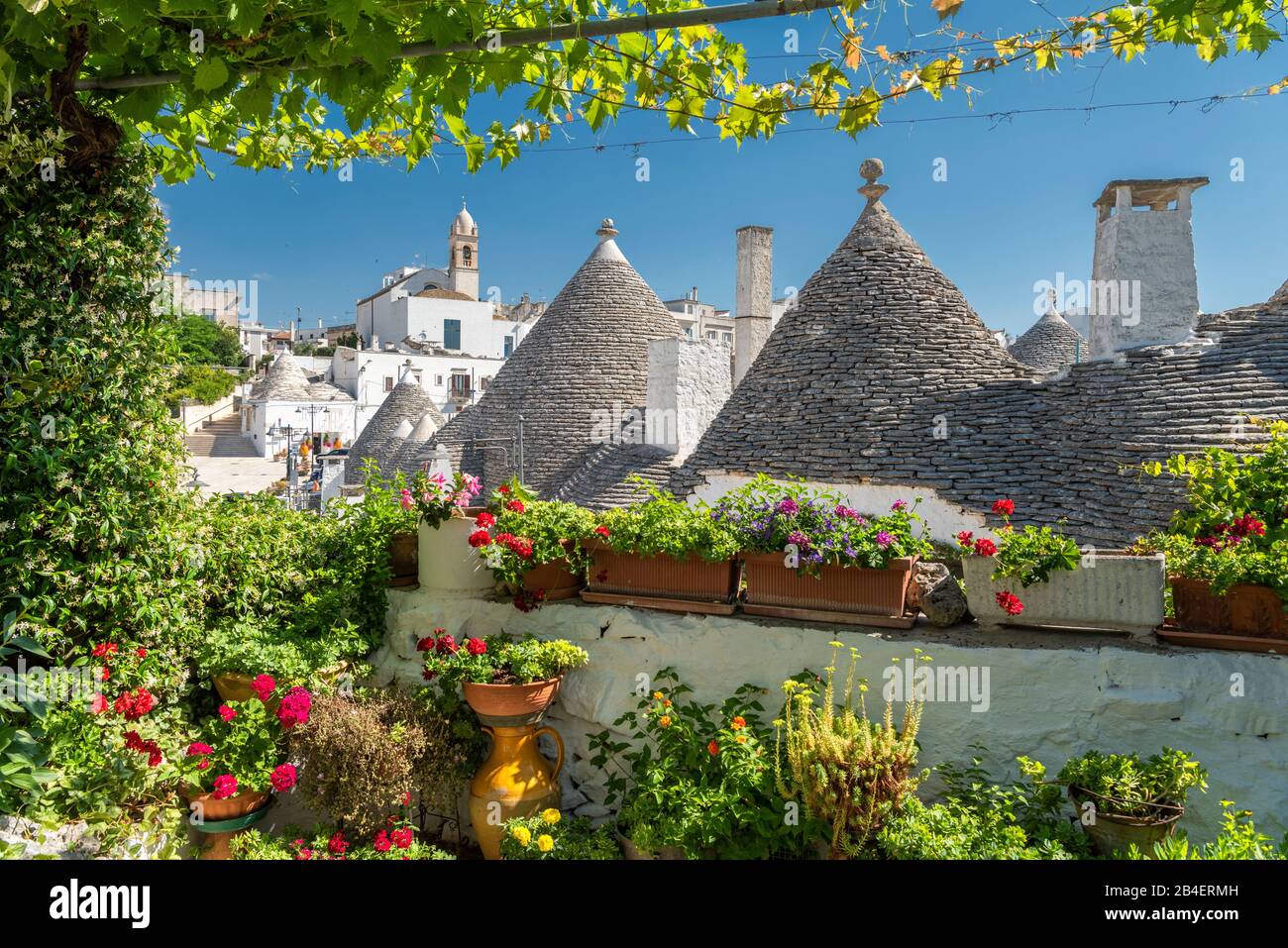 Alberobello, Provinz Bari, Salento, Apulien, Italien, Europa. Die ...