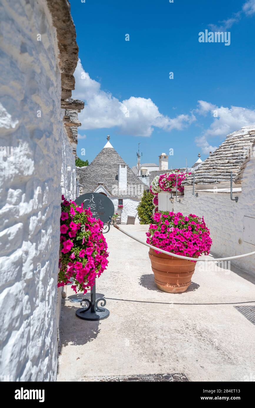 Alberobello, Provinz Bari, Salento, Apulien, Italien, Europa. Die ...