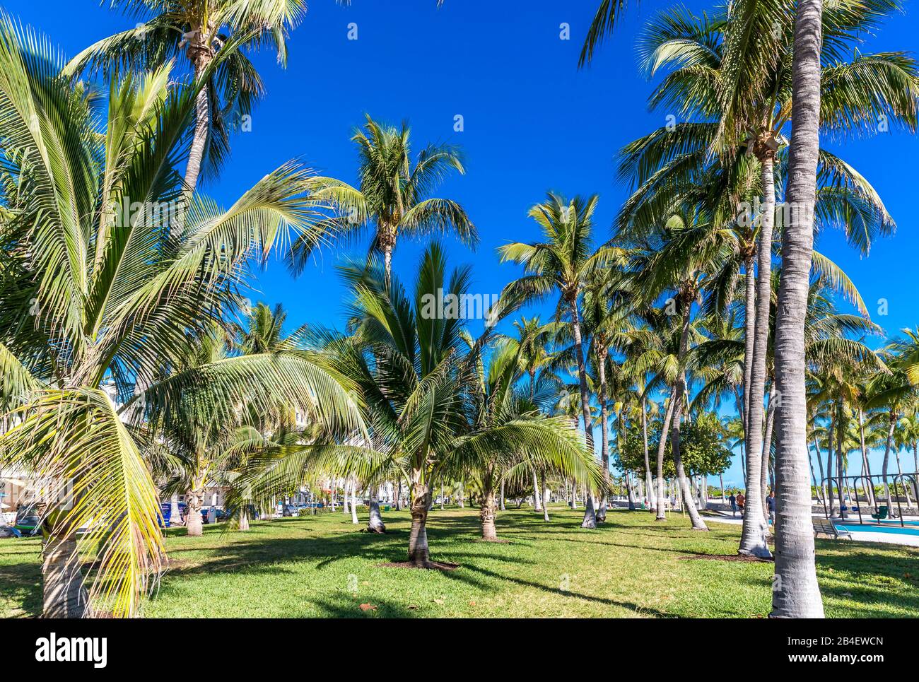 Lummus park miami beach hi-res stock photography and images - Alamy