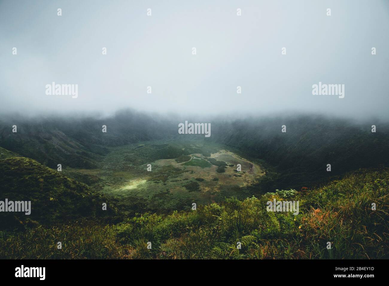 Azores, Faial, volcanic crater Stock Photo - Alamy
