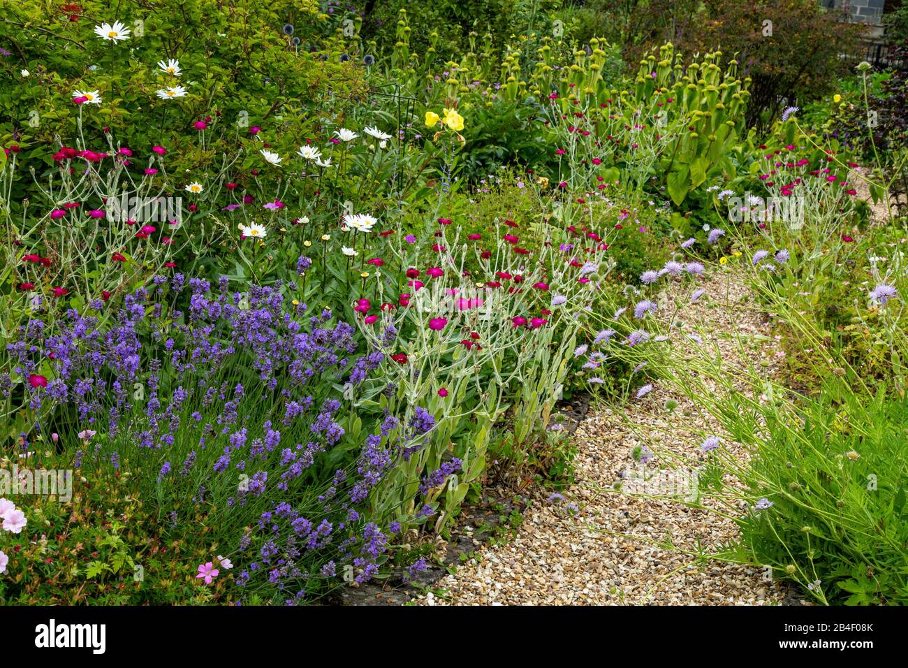 Gravel garden path hi-res stock photography and images - Alamy