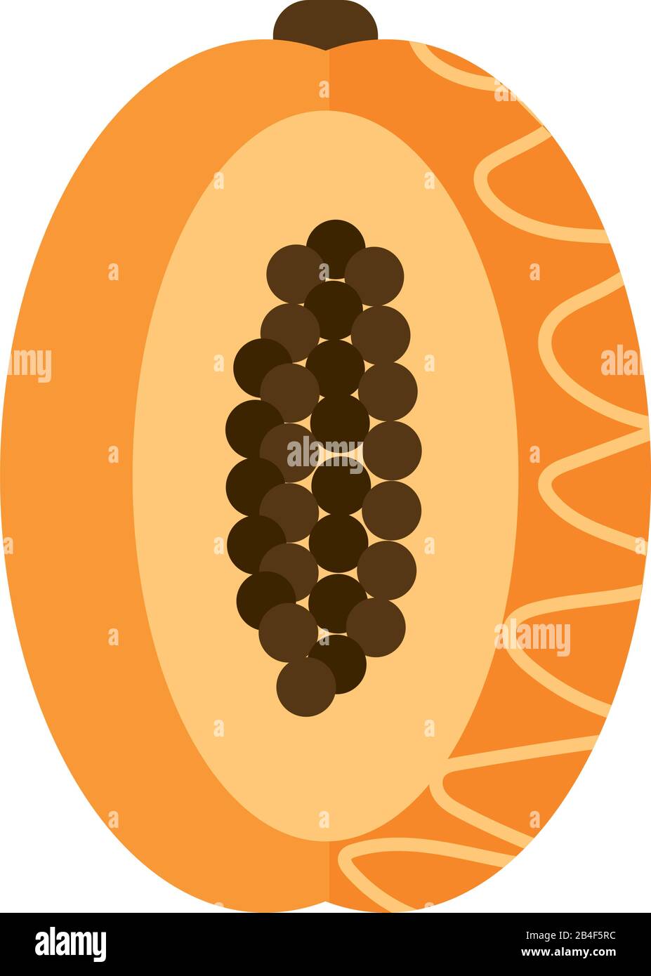Papaw fruit Stock Vector Images - Alamy