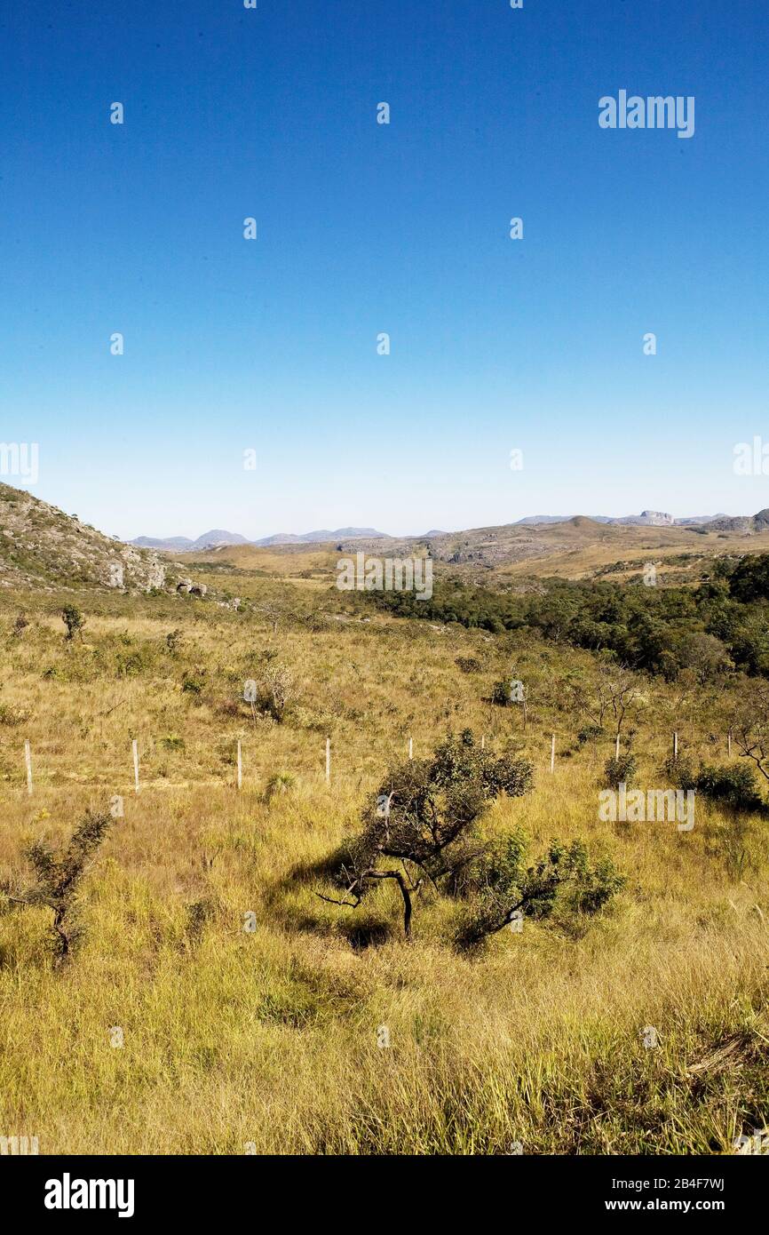 Parte superior da Serra do Espinhaço Meridional, com campo de altitude ...