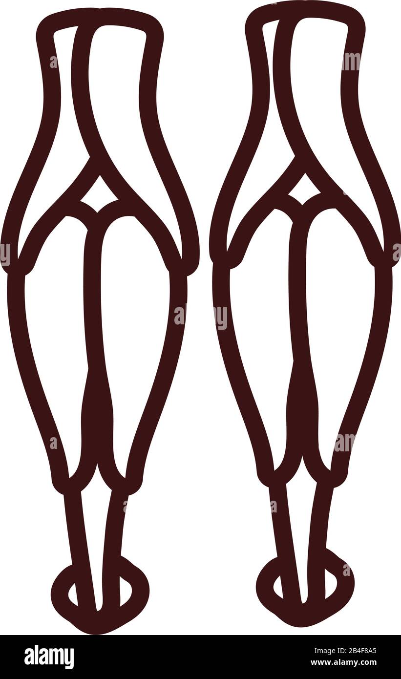 legs bones and muscles body human part line style Stock Vector Image ...