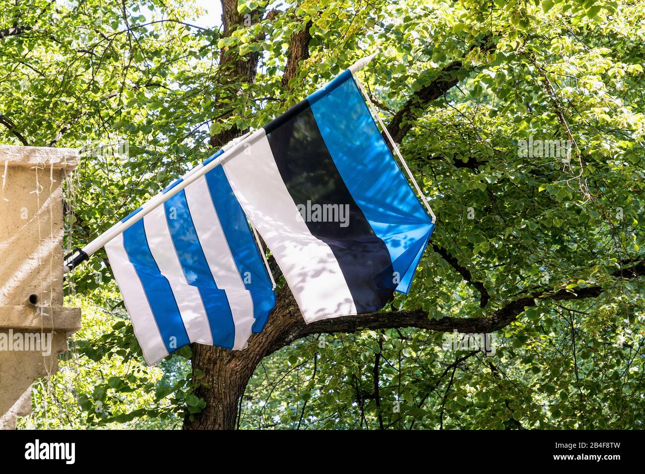 Flags of Estonia and Tallinn Stock Photo - Alamy