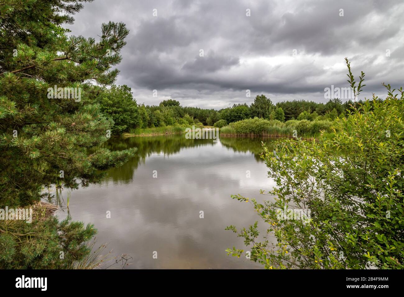 small man-made lake in the forest Stock Photo - Alamy