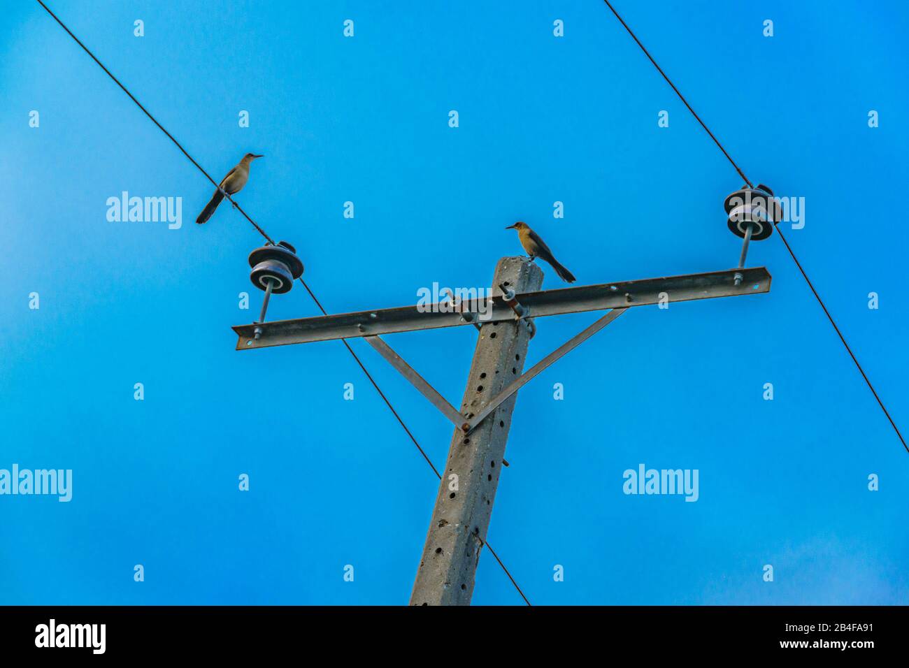 Group of cables hi-res stock photography and images - Alamy