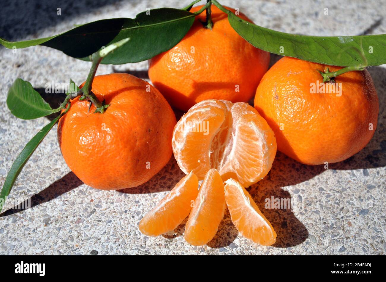 Two tangerines hi-res stock photography and images - Alamy