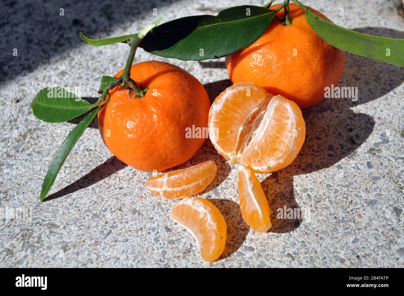 Two tangerines hi-res stock photography and images - Alamy