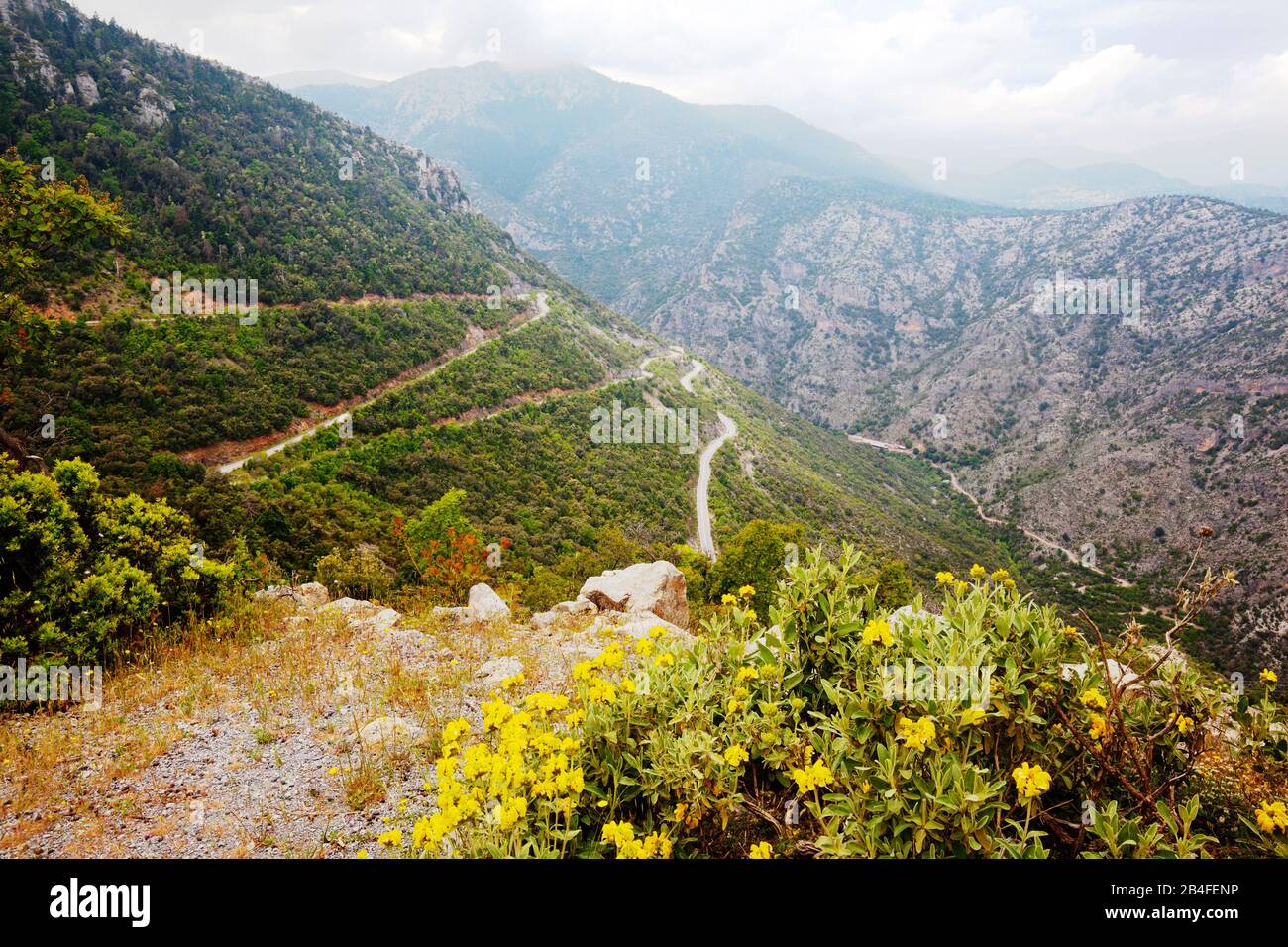 Deep view into the valley of the Daphnón River, in the Parnon Mountains ...