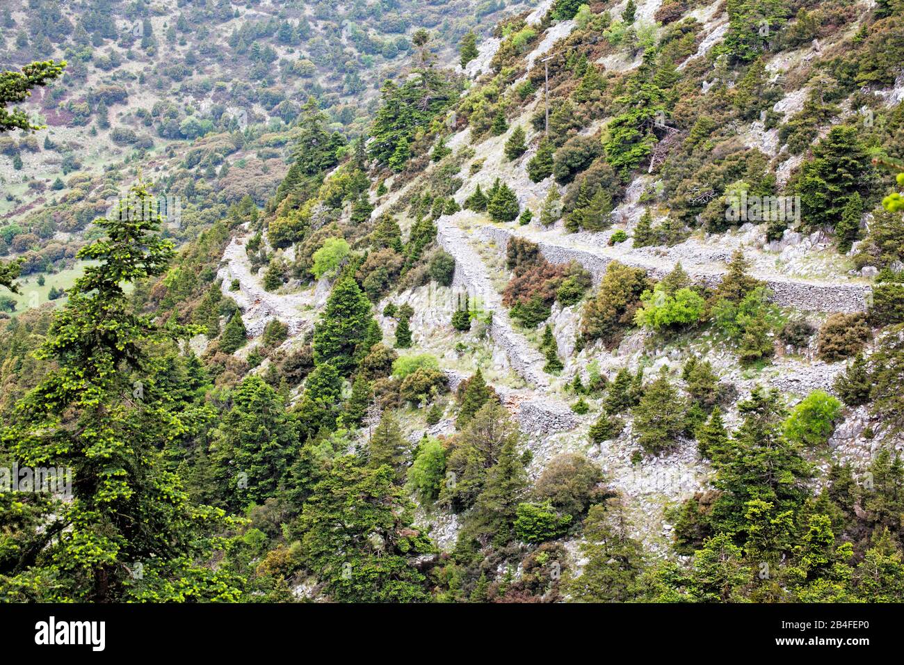 Mountain path in the Parnon Mountains in the Peloponnese, Arcadia ...