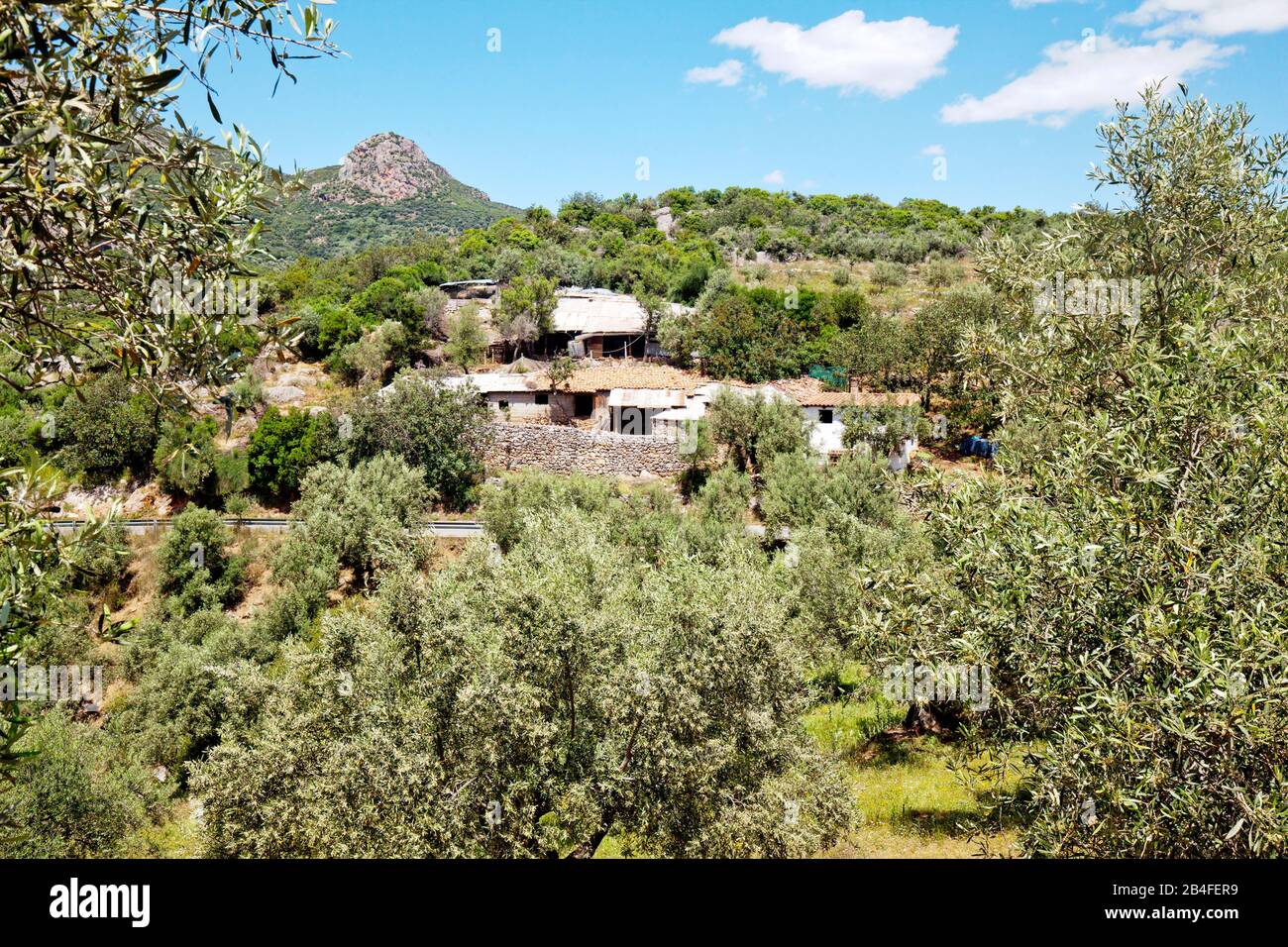 Dwelling poor hi-res stock photography and images - Alamy