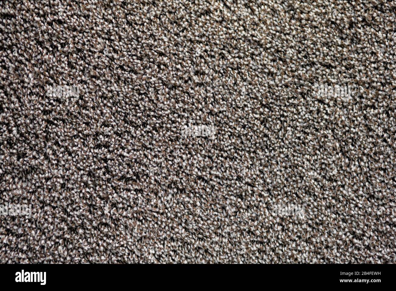 Modern gray carpet texture. Background. Close up Stock Photo - Alamy