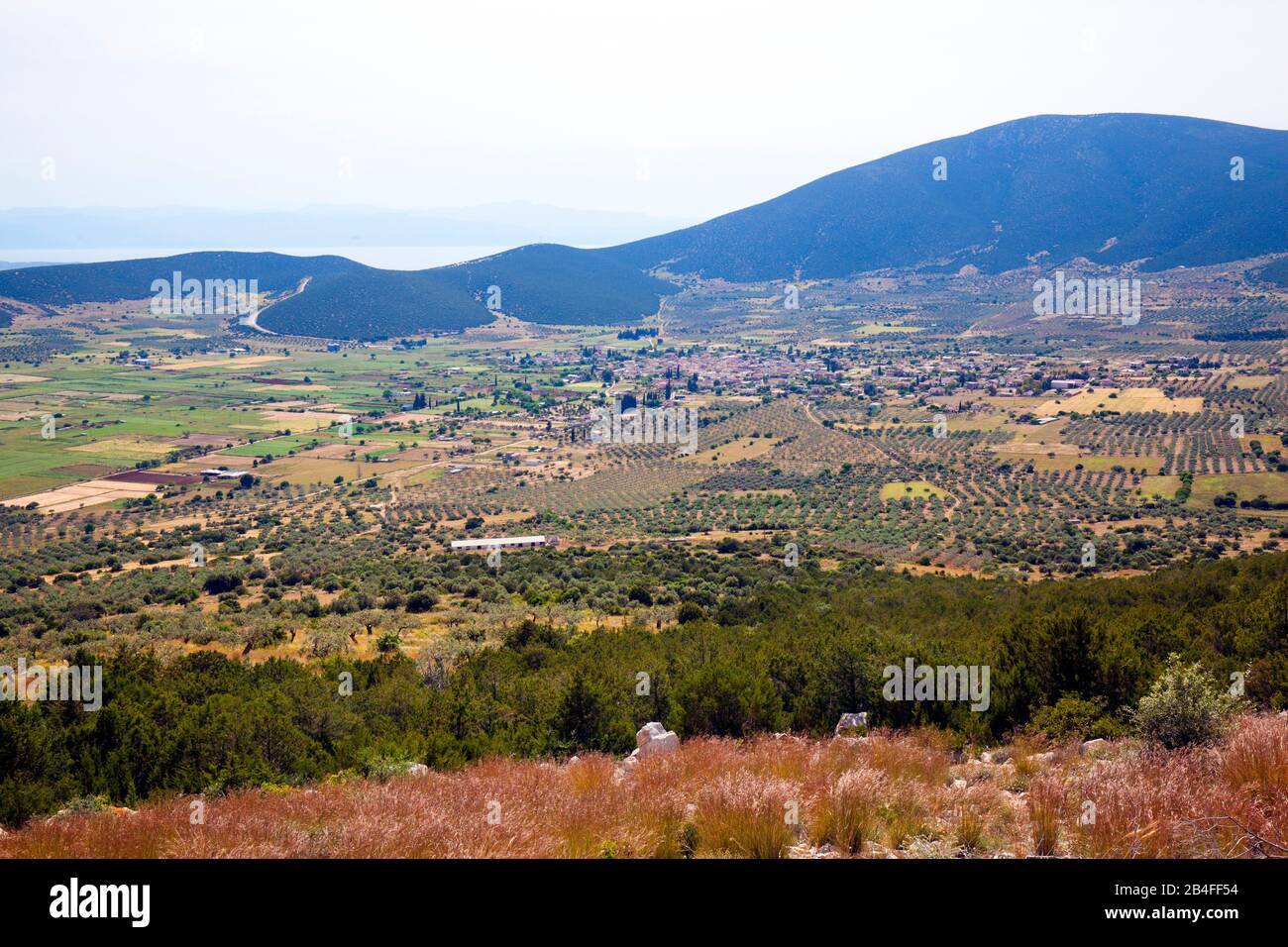 Agricultural production areas in the Argolis region in eastern ...