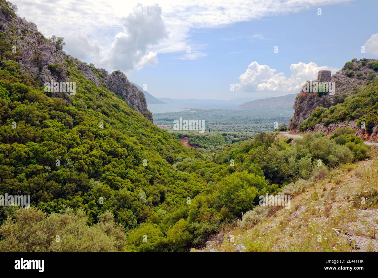 Mitikas hi-res stock photography and images - Alamy