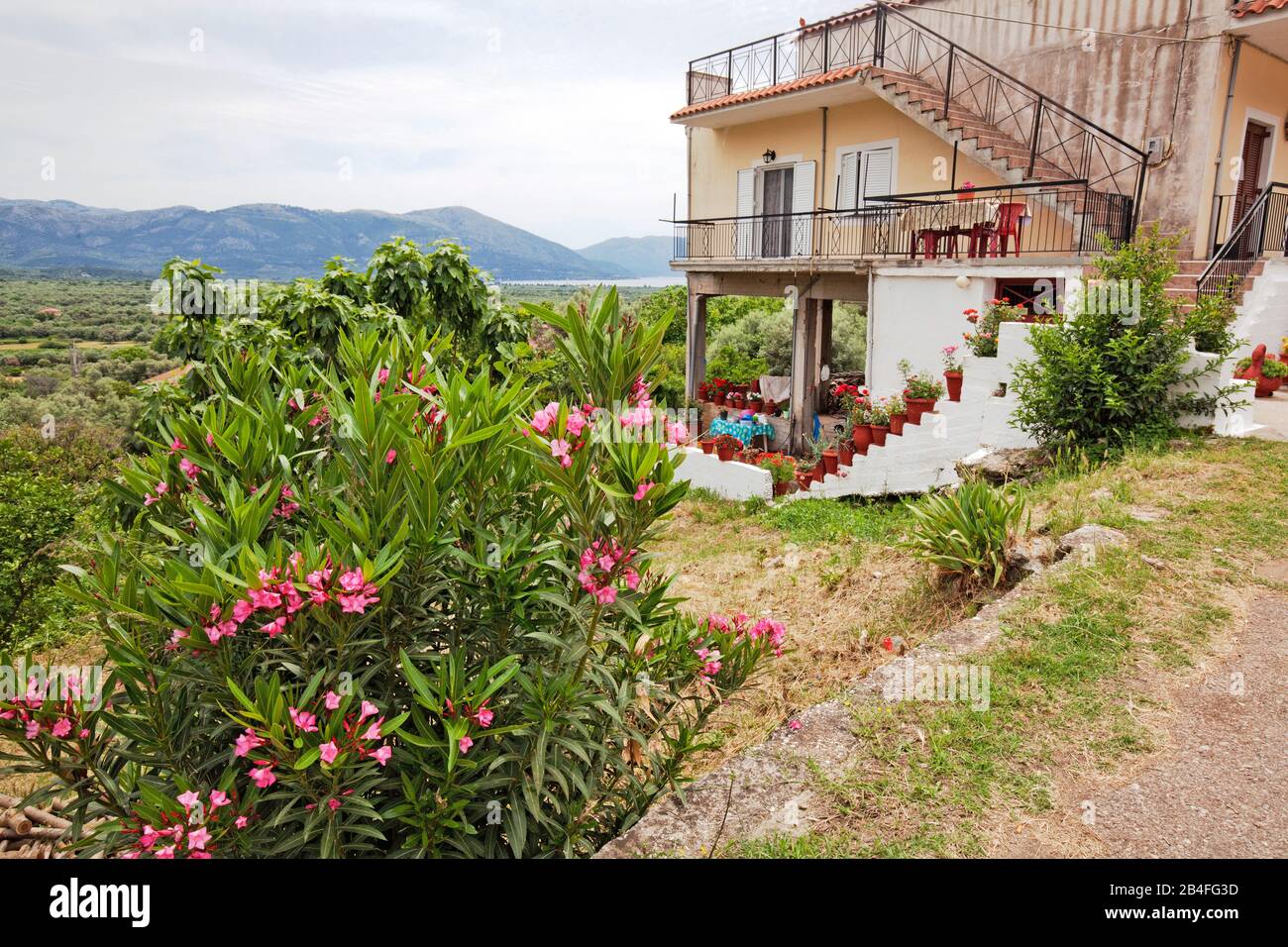 Mitikas hi-res stock photography and images - Alamy