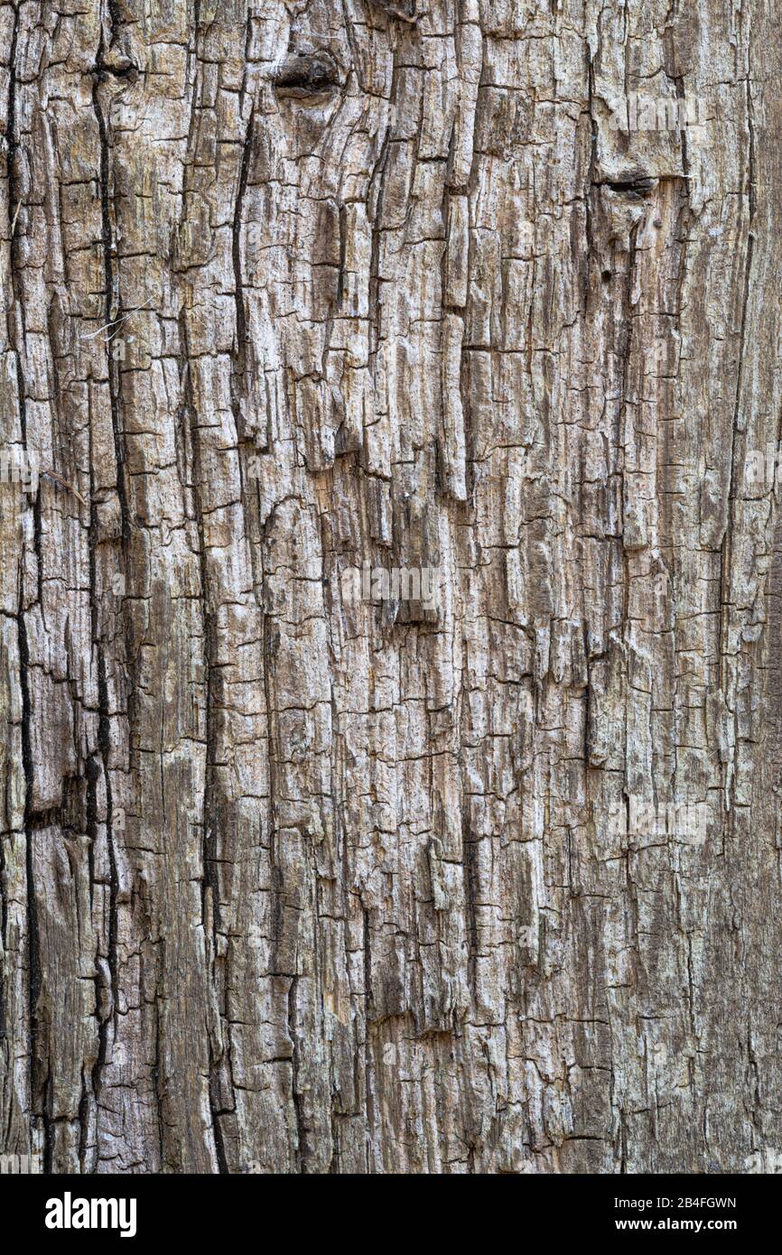 Wood background, weathered Stock Photo - Alamy