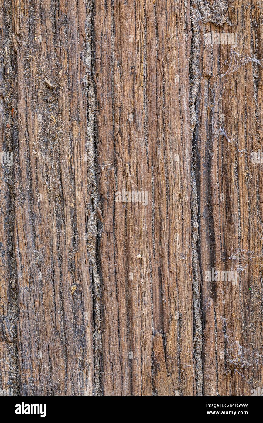 Wood background, weathered Stock Photo - Alamy
