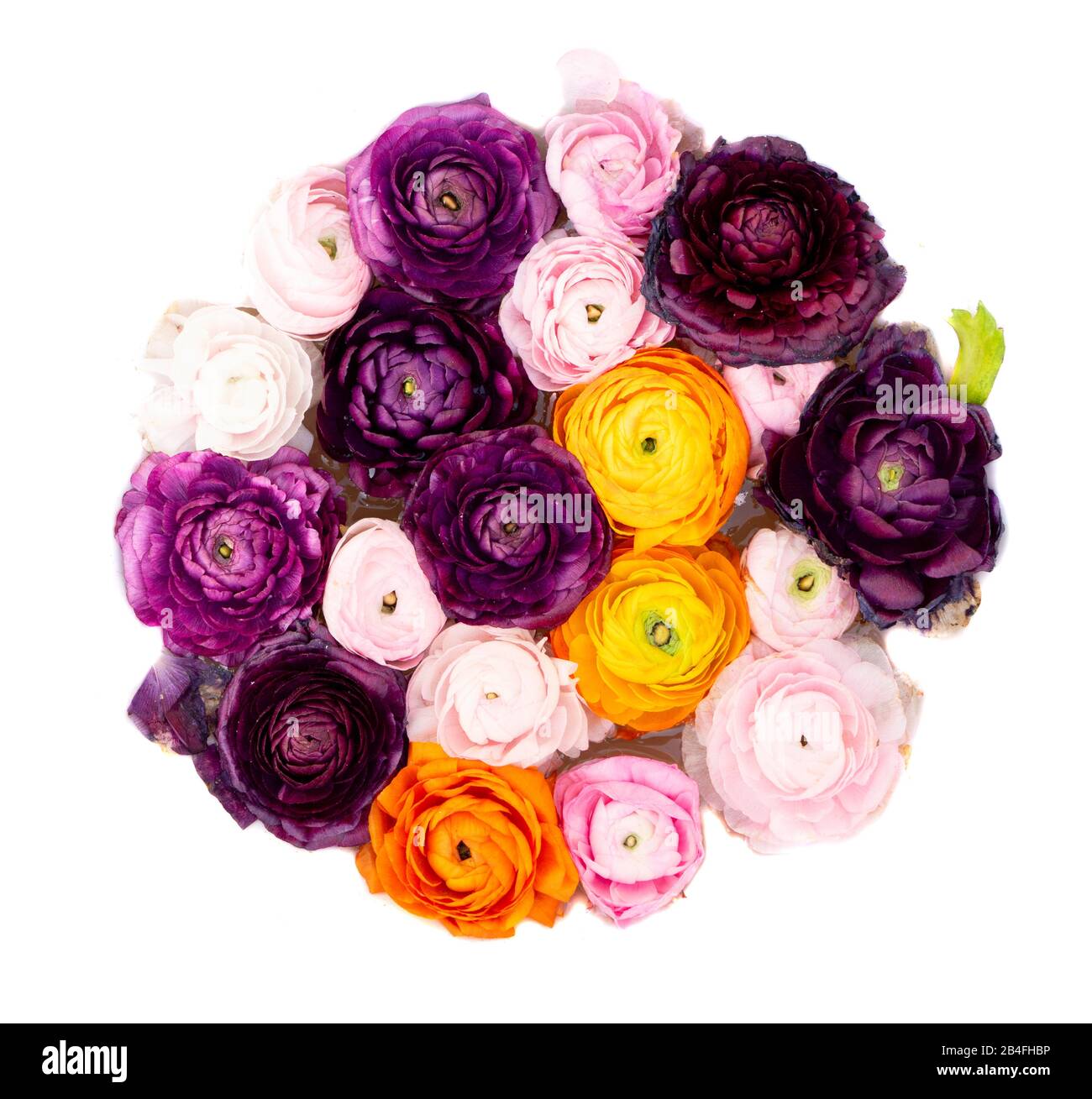 Spring festive layout Cut Out Stock Images & Pictures - Alamy