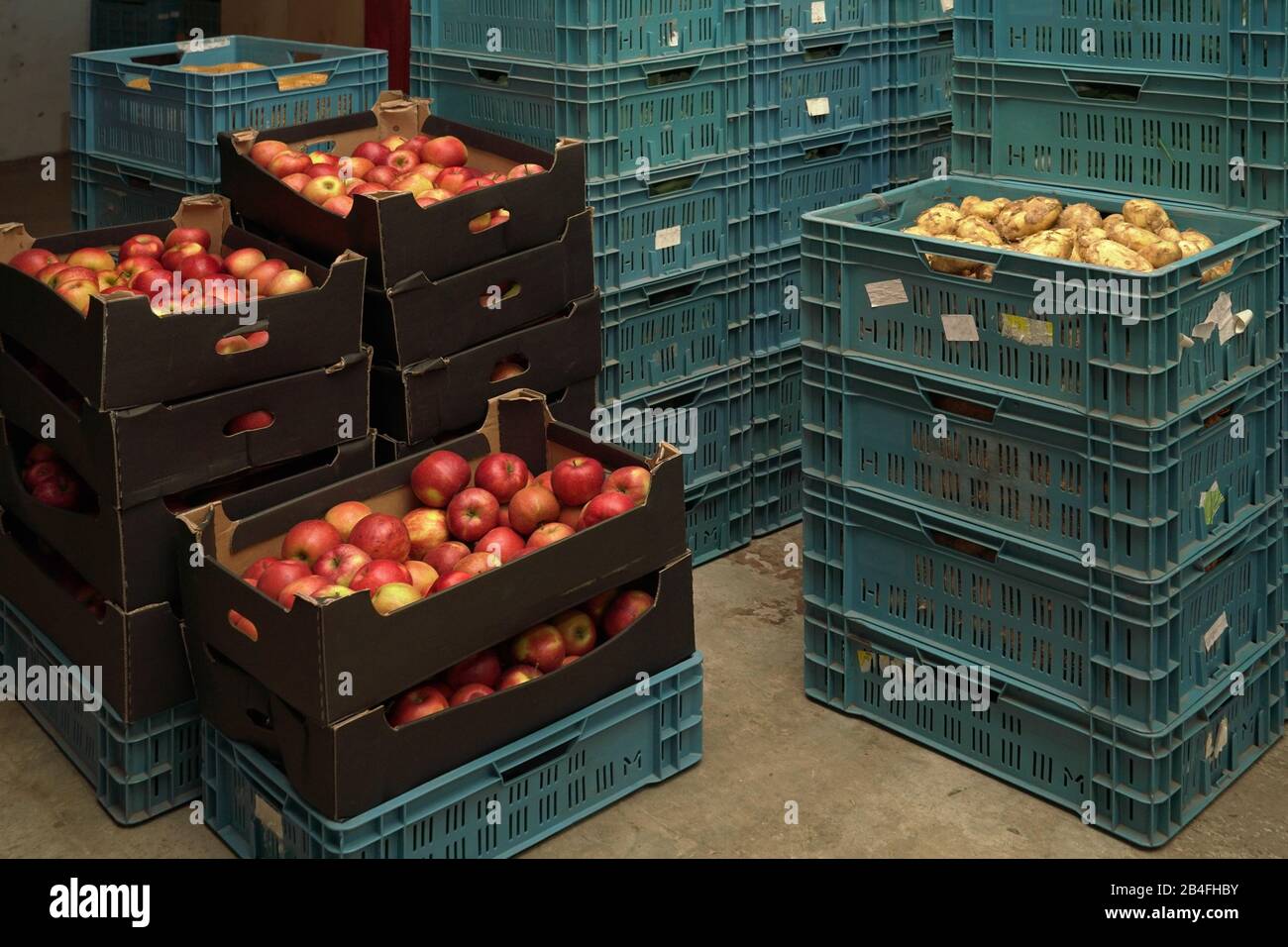 Potato storage warehouse hi-res stock photography and images - Alamy