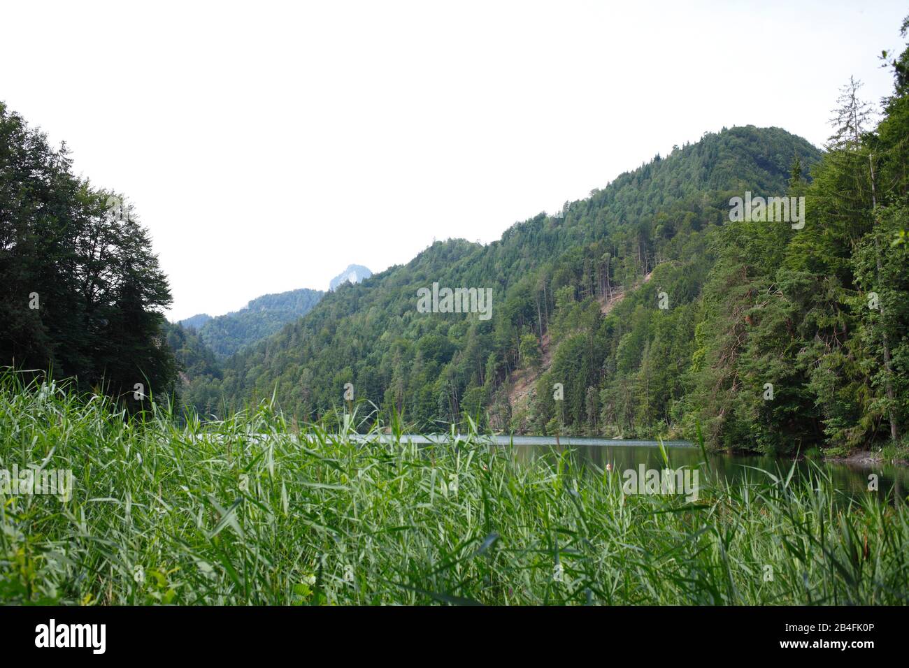 Lake Hechtsee, Kufstein, Tyrol, Austria, Europe Stock Photo - Alamy