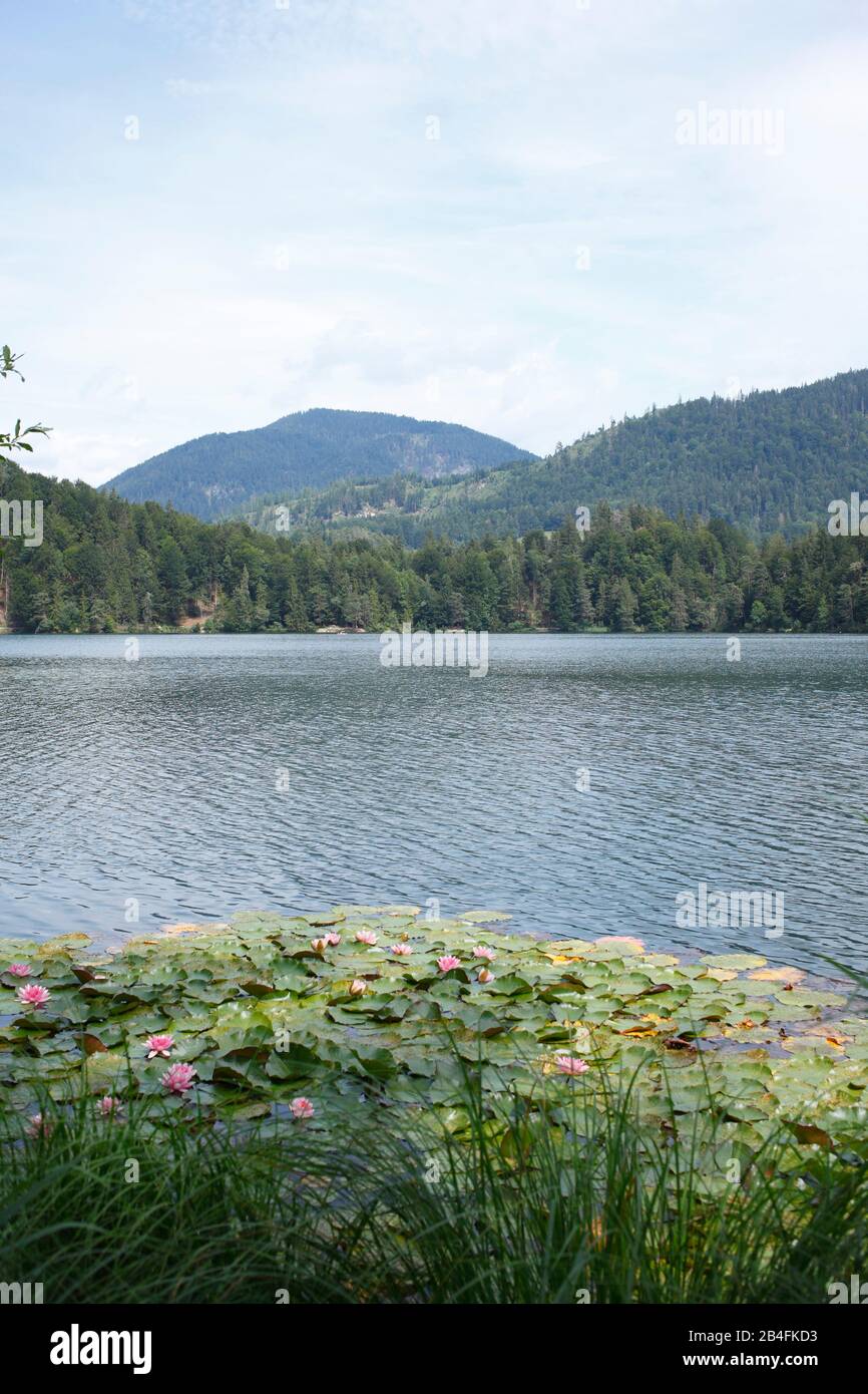 Lake Hechtsee, Kufstein, Tyrol, Austria, Europe Stock Photo - Alamy