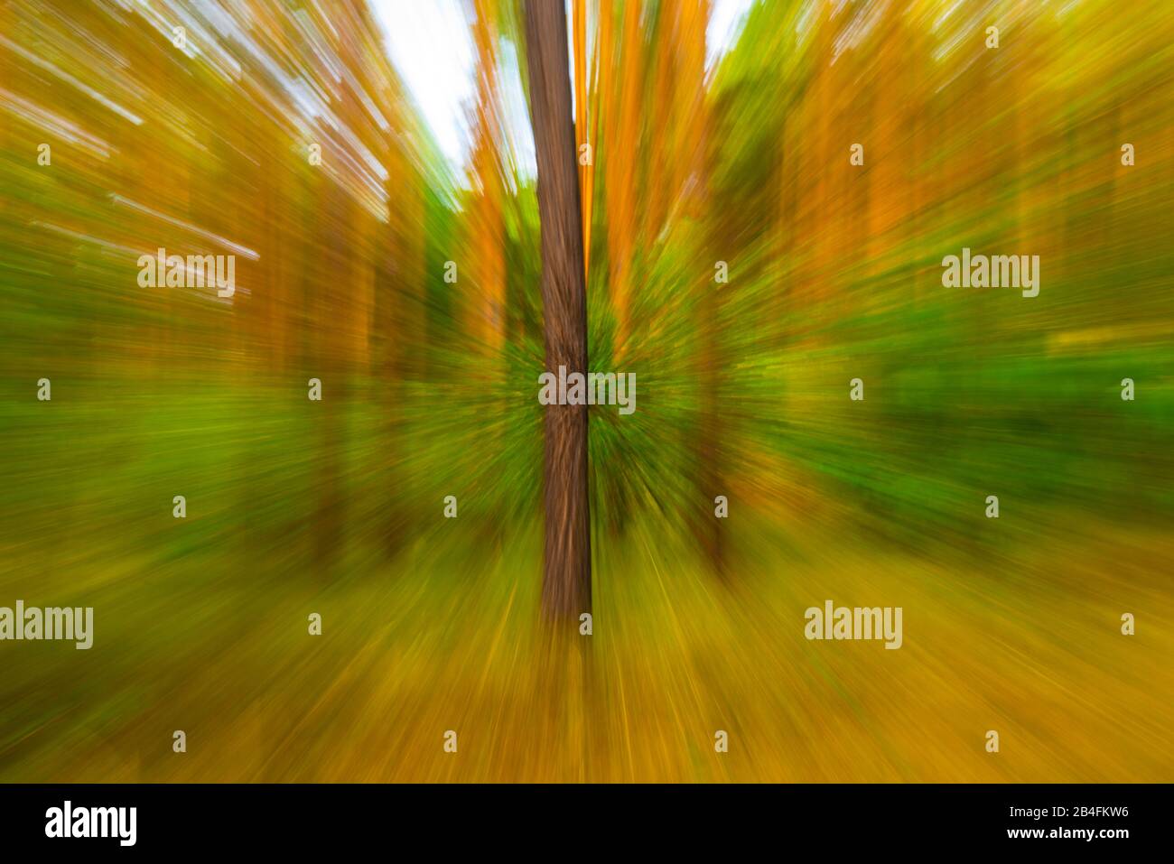 Harmonic distortion hi-res stock photography and images - Alamy