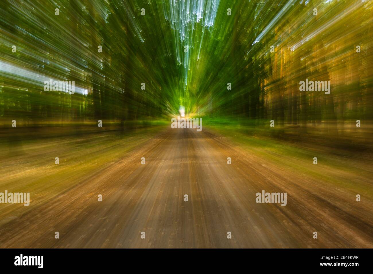 Forest road creatively photographed with distortions Stock Photo - Alamy