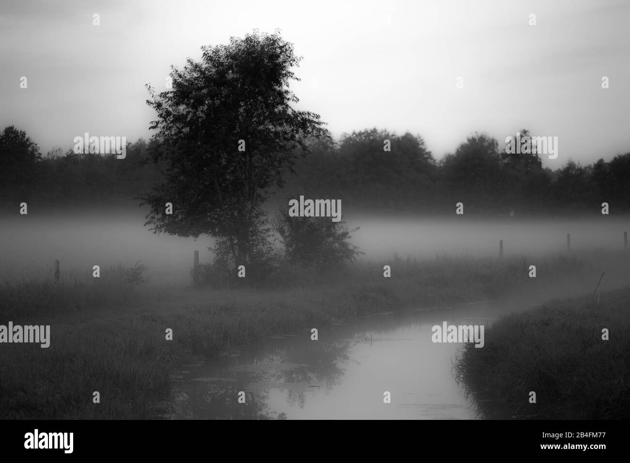 Morning fog on river Black and White Stock Photos & Images - Alamy