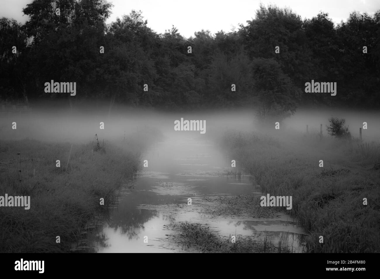 Mist early hi-res stock photography and images - Alamy