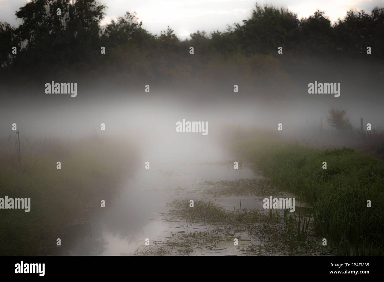 Mist early hi-res stock photography and images - Alamy