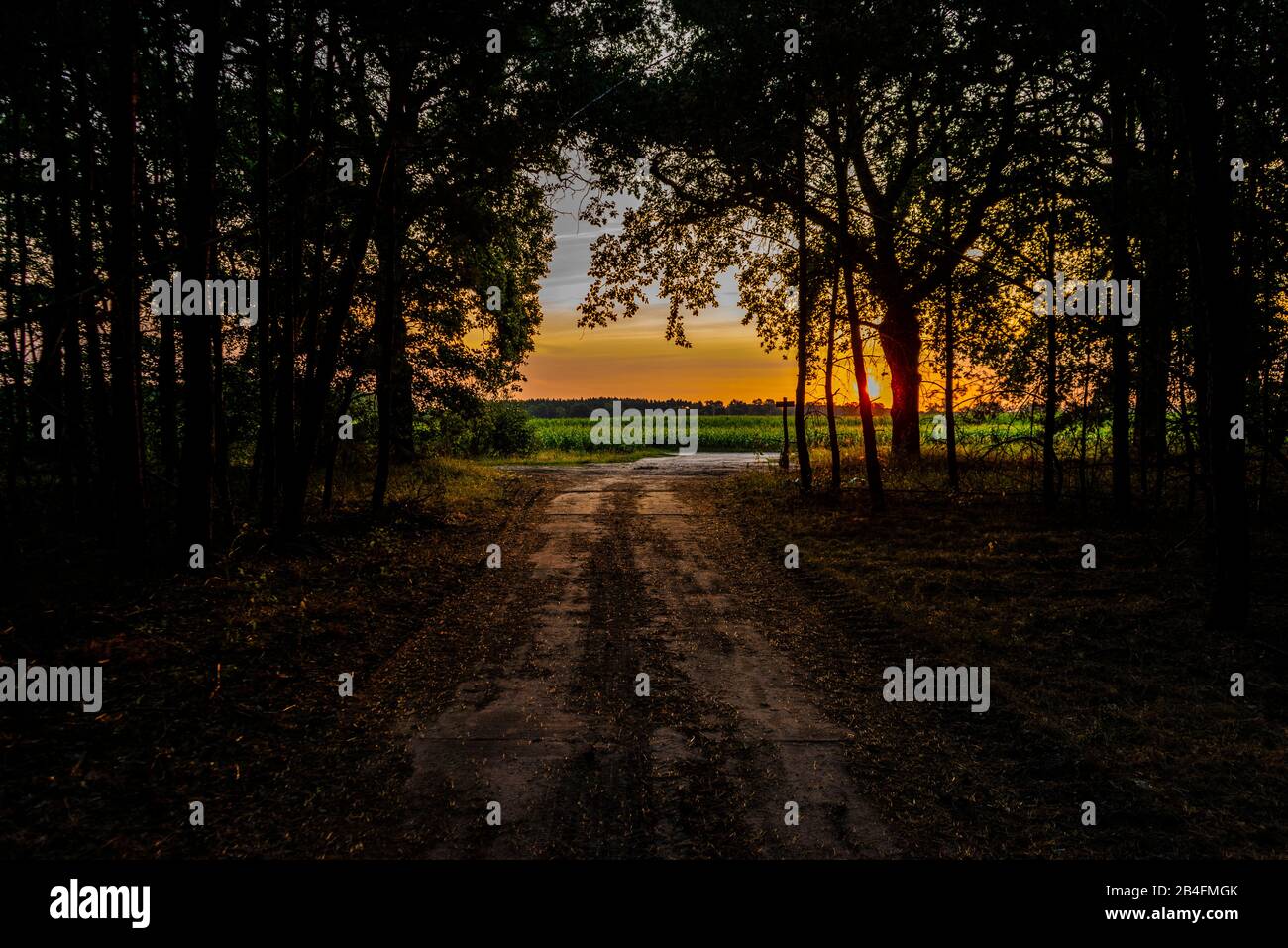 Summer sun in the countryside hi-res stock photography and images - Alamy