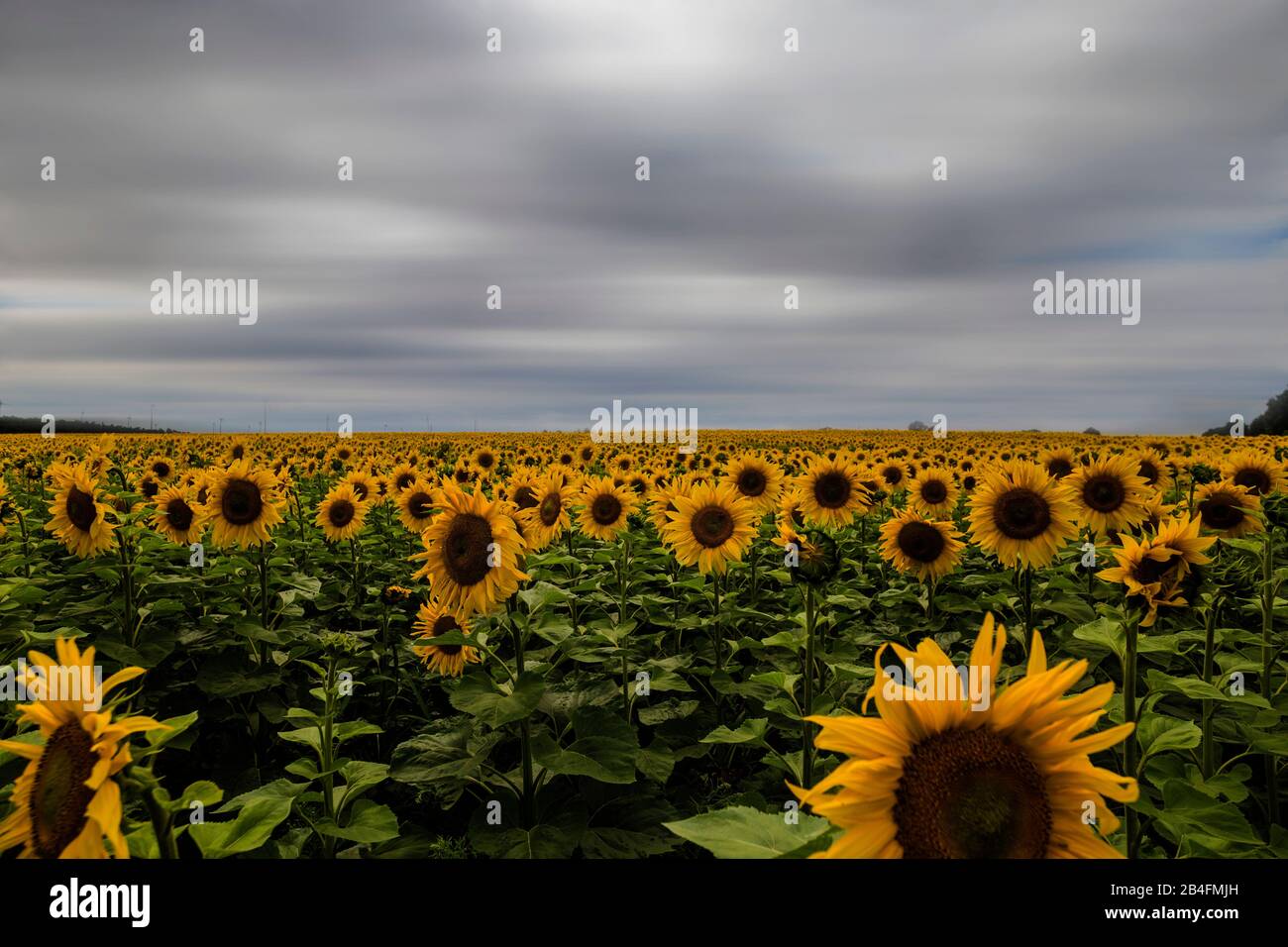 Full exposure hi-res stock photography and images - Alamy