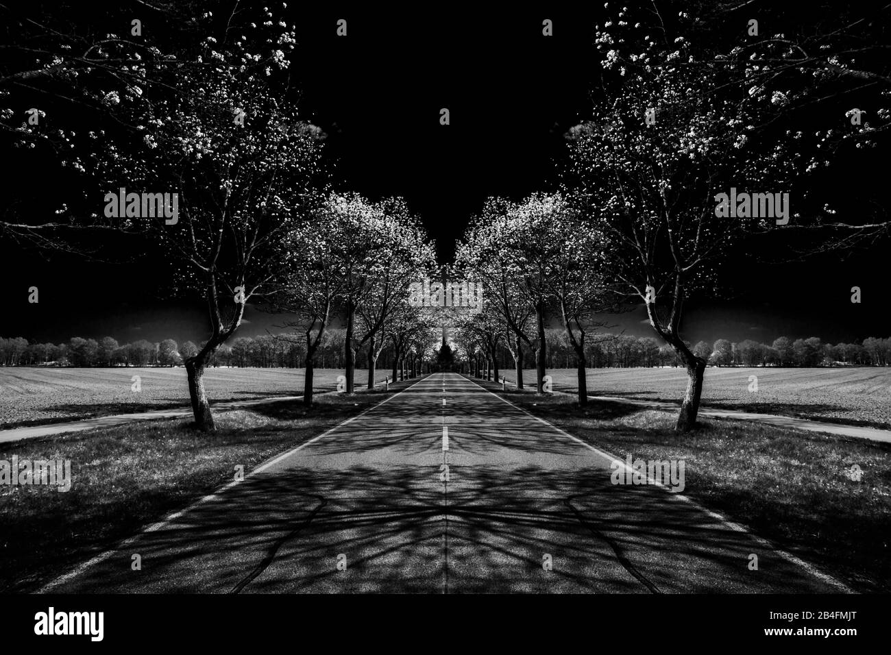 Country road in spring Stock Photo - Alamy